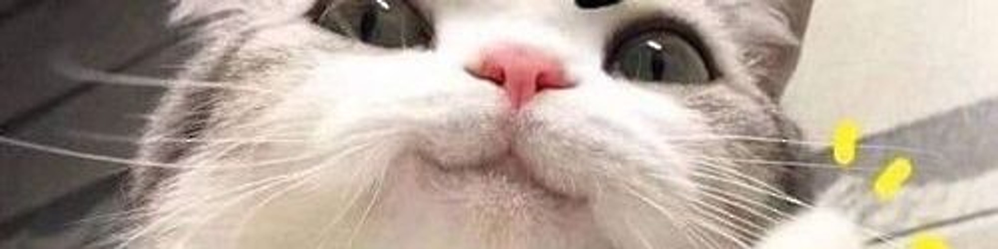 Azazel | Fictionlog นิยายออนไลน์ นิยายแปล เว็บตูนถูกลิขสิทธิ์ สนุกครบรส!