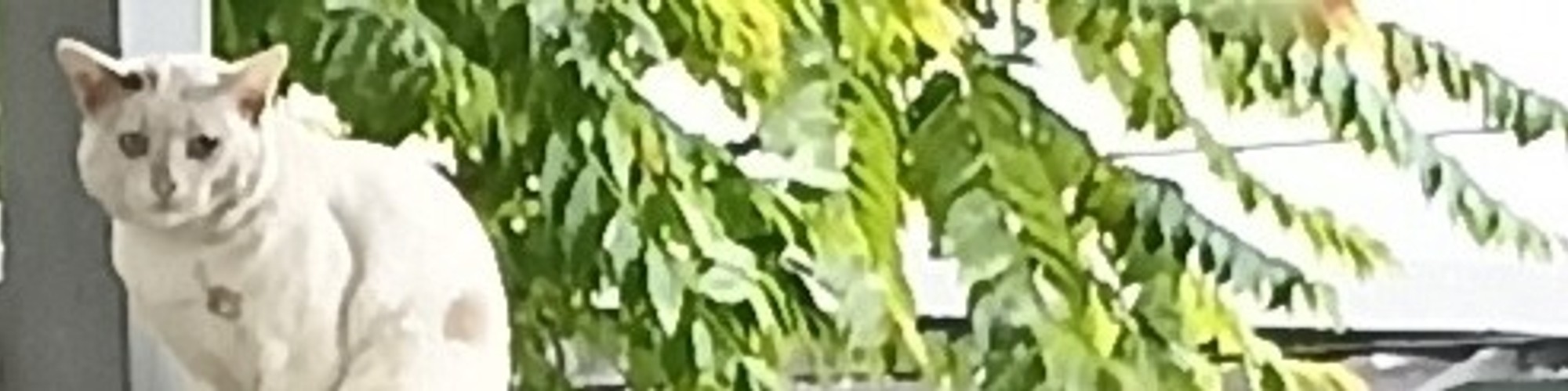 L.I | Fictionlog นิยายออนไลน์ นิยายแปล เว็บตูนถูกลิขสิทธิ์ สนุกครบรส!